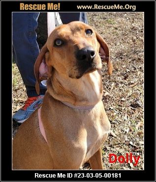 - Alabama Redbone Coonhound Rescue - ADOPTIONS - Rescue Me!