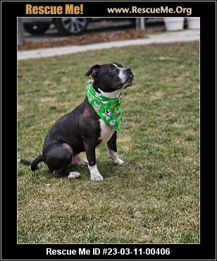 - Idaho Dog Rescue - ADOPTIONS - Rescue Me!