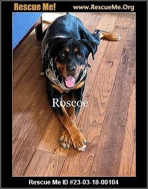 - Texas Rottweiler Rescue - ADOPTIONS - Rescue Me!