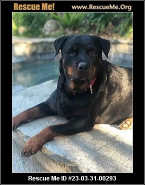 - California Rottweiler Rescue - ADOPTIONS - Rescue Me!