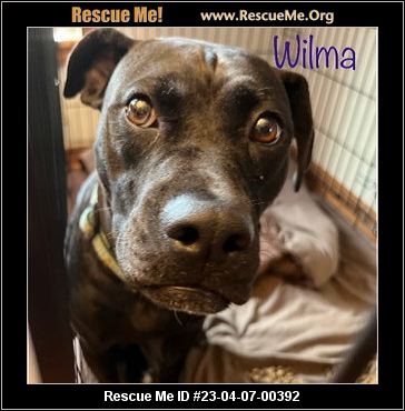 - Virginia Boxer Rescue - ADOPTIONS - Rescue Me!