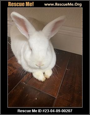 - California Rabbit Rescue - ADOPTIONS - Rescue Me!