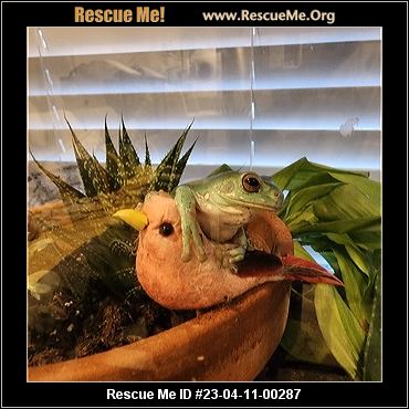 - Washington Reptile/Amphibian Rescue - ADOPTIONS - Rescue Me!