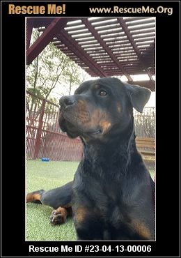 - California Rottweiler Rescue - ADOPTIONS - Rescue Me!