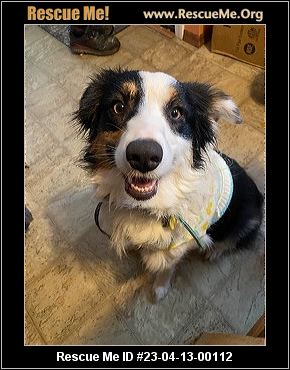 - Wisconsin Dog Rescue - ADOPTIONS - Rescue Me!