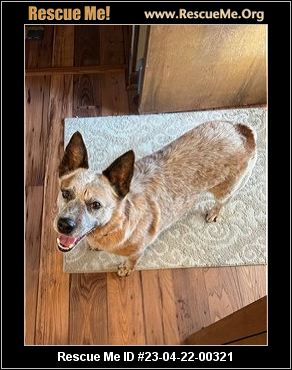 - Kansas Dog Rescue - ADOPTIONS - Rescue Me!