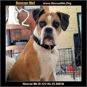 - Utah Dog Rescue - ADOPTIONS - Rescue Me!
