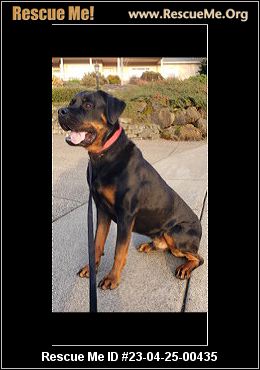 - Oregon Rottweiler Rescue - ADOPTIONS - Rescue Me!