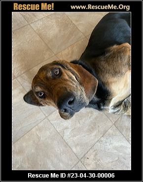 - Utah Dog Rescue - ADOPTIONS - Rescue Me!