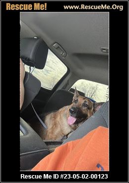- Indiana German Shepherd Rescue - ADOPTIONS - Rescue Me!