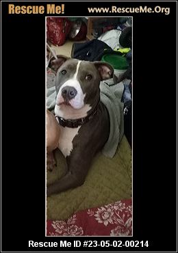 - Utah Dog Rescue - ADOPTIONS - Rescue Me!