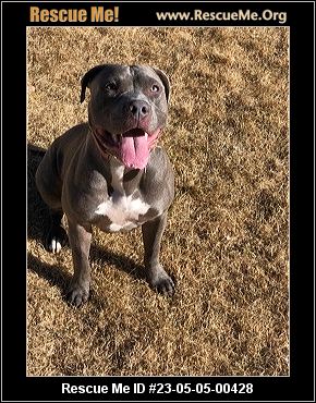 - Colorado Pit Bull Rescue - ADOPTIONS - Rescue Me!