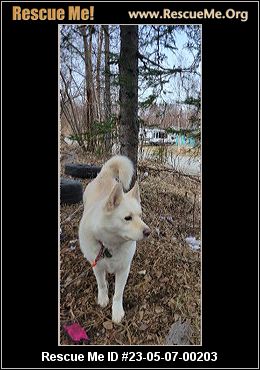 - Alaska Dog Rescue - ADOPTIONS - Rescue Me!