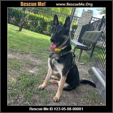 - Virginia German Shepherd Rescue - ADOPTIONS - Rescue Me!