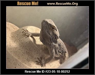 - New Jersey Reptile/Amphibian Rescue - ADOPTIONS - Rescue Me!