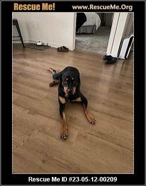 - California Rottweiler Rescue - ADOPTIONS - Rescue Me!