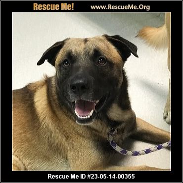 - Pennsylvania German Shepherd Rescue - ADOPTIONS - Rescue Me!