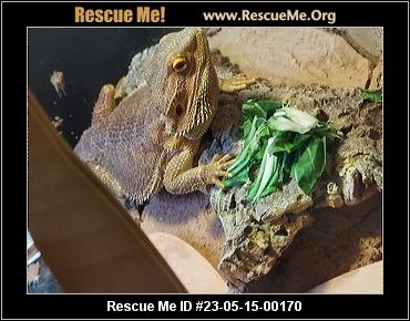 - Oregon Reptile/Amphibian Rescue - ADOPTIONS - Rescue Me!