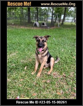 - Texas German Shepherd Rescue - ADOPTIONS - Rescue Me!