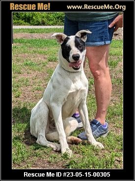 - Kansas Dog Rescue - ADOPTIONS - Rescue Me!