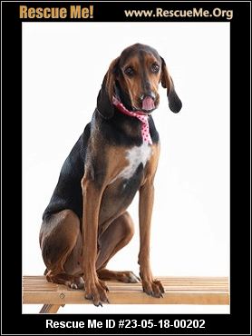 - Oregon Dog Rescue - ADOPTIONS - Rescue Me!