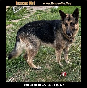 - Utah Dog Rescue - ADOPTIONS - Rescue Me!