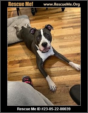 - Utah Dog Rescue - ADOPTIONS - Rescue Me!