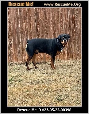 - Texas Rottweiler Rescue - ADOPTIONS - Rescue Me!