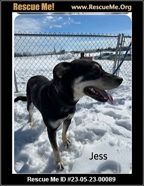 - Wisconsin Dog Rescue - ADOPTIONS - Rescue Me!