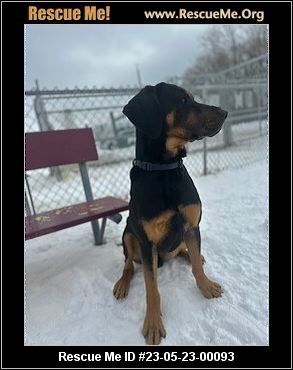 - Wisconsin Dog Rescue - ADOPTIONS - Rescue Me!