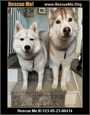 - Utah Dog Rescue - ADOPTIONS - Rescue Me!