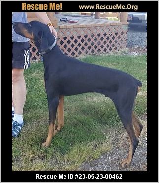 - Oregon Dog Rescue - ADOPTIONS - Rescue Me!