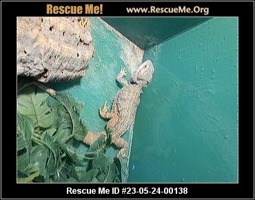 - Illinois Reptile/Amphibian Rescue - ADOPTIONS - Rescue Me!