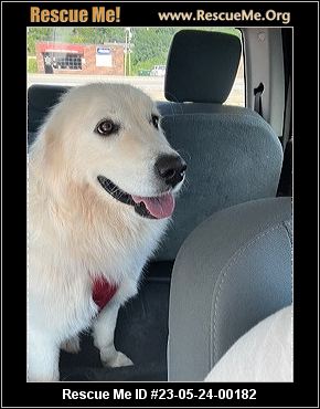 - West Virginia Dog Rescue - ADOPTIONS - Rescue Me!