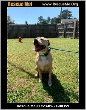 - South Carolina Dog Rescue - ADOPTIONS - Rescue Me!