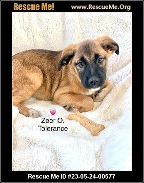 - Delaware Dog Rescue - ADOPTIONS - Rescue Me!