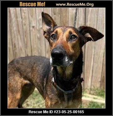- Oregon Dog Rescue - ADOPTIONS - Rescue Me!
