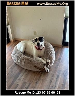 - Oregon Dog Rescue - ADOPTIONS - Rescue Me!