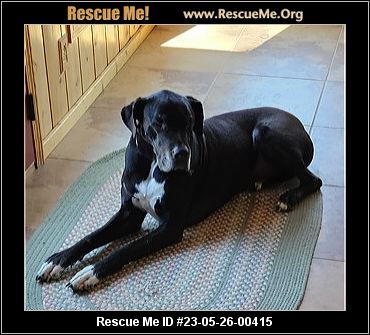 - Wisconsin Dog Rescue - ADOPTIONS - Rescue Me!