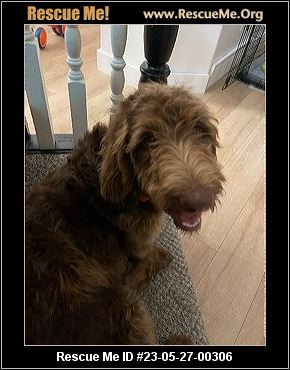 - Utah Dog Rescue - ADOPTIONS - Rescue Me!