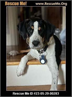 - Nebraska Dog Rescue - ADOPTIONS - Rescue Me!