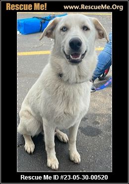 - Wisconsin Dog Rescue - ADOPTIONS - Rescue Me!
