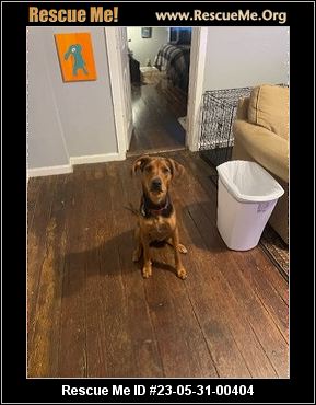 - South Carolina Dog Rescue - ADOPTIONS - Rescue Me!