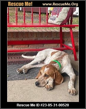 - Virginia Redbone Coonhound Rescue - ADOPTIONS - Rescue Me!