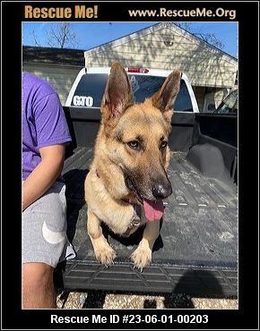- Texas German Shepherd Rescue - ADOPTIONS - Rescue Me!