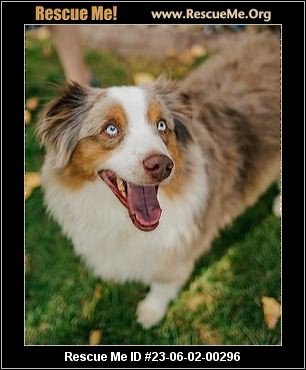 - Utah Dog Rescue - ADOPTIONS - Rescue Me!