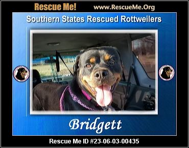 - Texas Rottweiler Rescue - ADOPTIONS - Rescue Me!