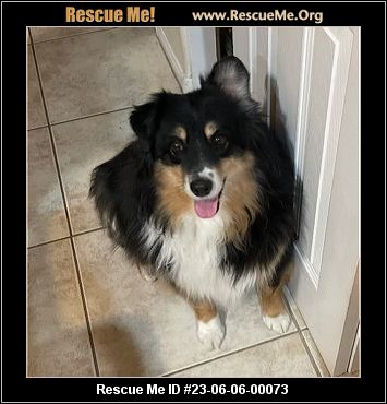 - Utah Dog Rescue - ADOPTIONS - Rescue Me!