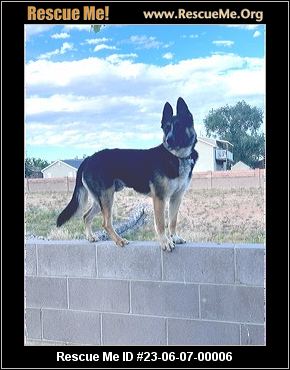 - New Mexico Dog Rescue - ADOPTIONS - Rescue Me!