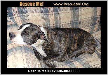 - Wisconsin Dog Rescue - ADOPTIONS - Rescue Me!